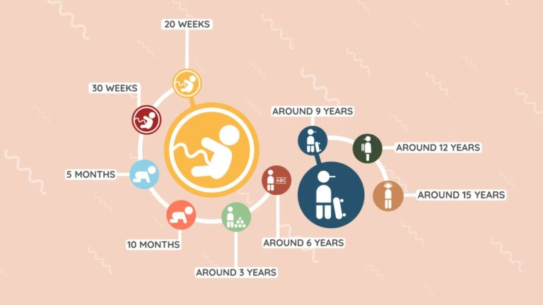 Consortium on Individual Development | Cohort profile: a detailed ...